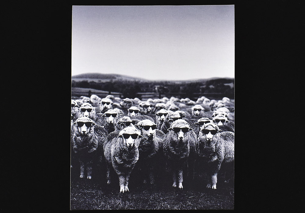 Μπλούζα John Frank JFTCOOL08 Sheep - Eros